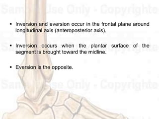 Ankle and foot complex | PPTX