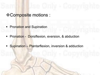 Ankle and foot complex | PPTX