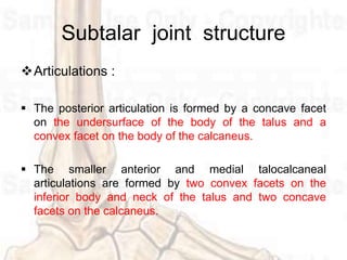 Ankle and foot complex | PPTX