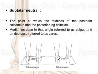 Ankle and foot complex | PPTX