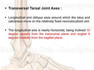 Ankle and foot complex | PPTX