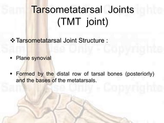 Ankle and foot complex | PPT