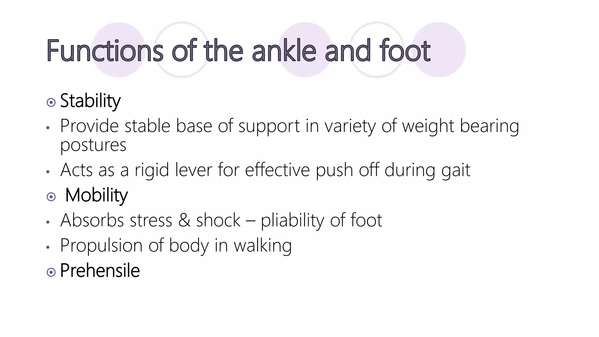 Ankle and foot complex | PPTX