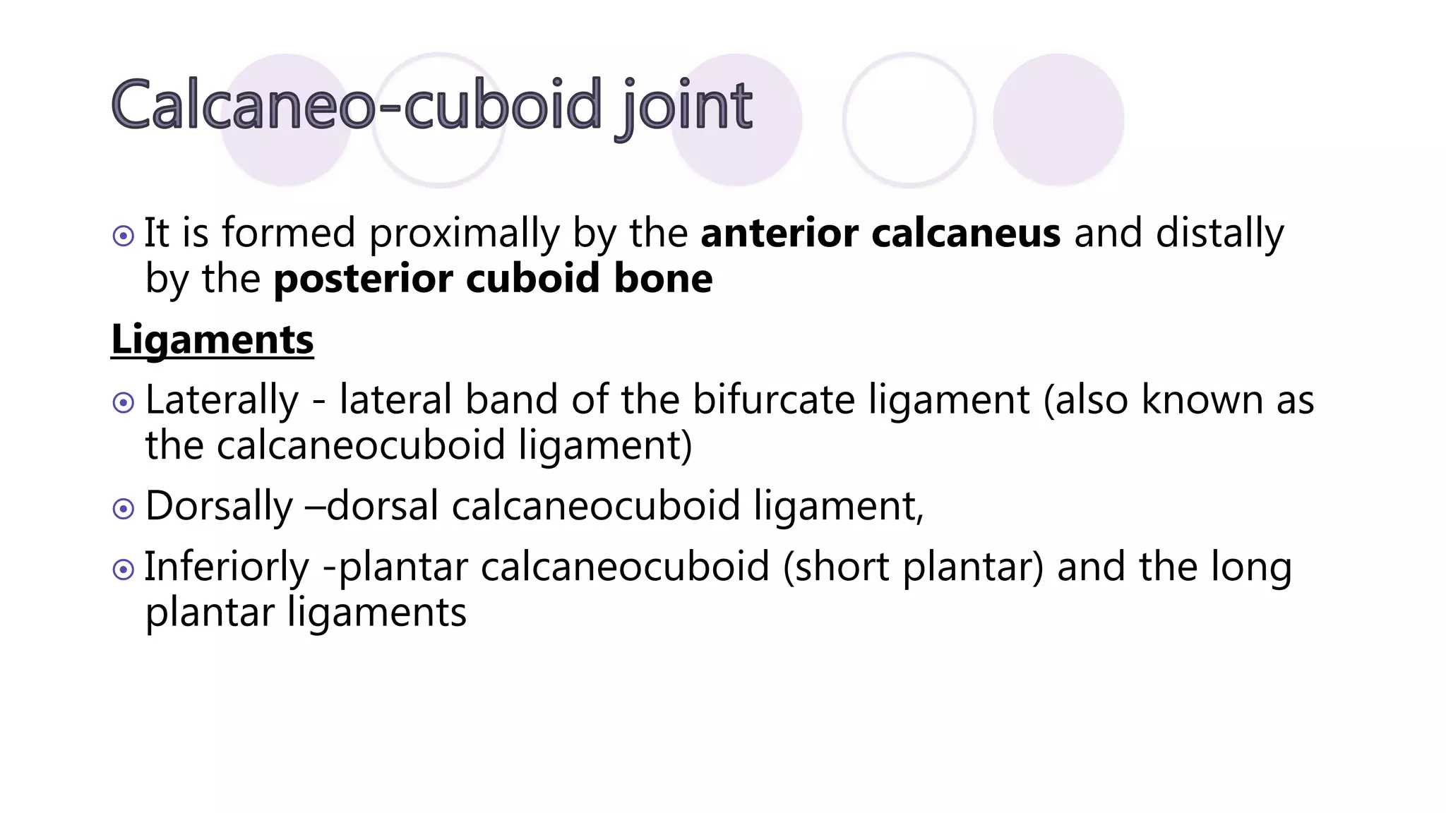 Ankle and foot complex | PPTX