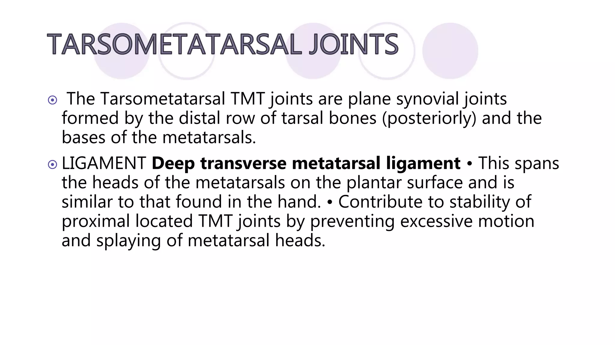 Ankle and foot complex | PPTX
