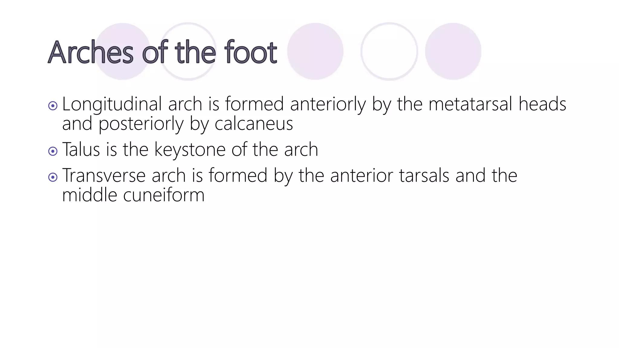 Ankle and foot complex | PPTX