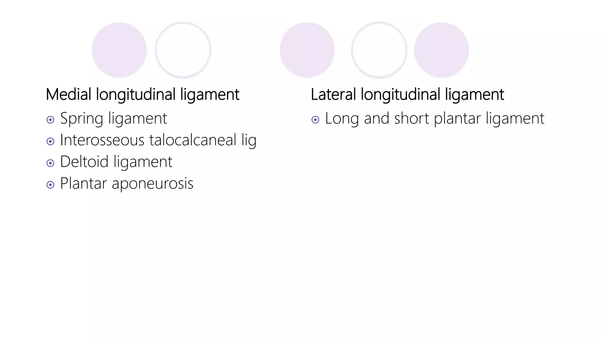 Ankle and foot complex | PPTX