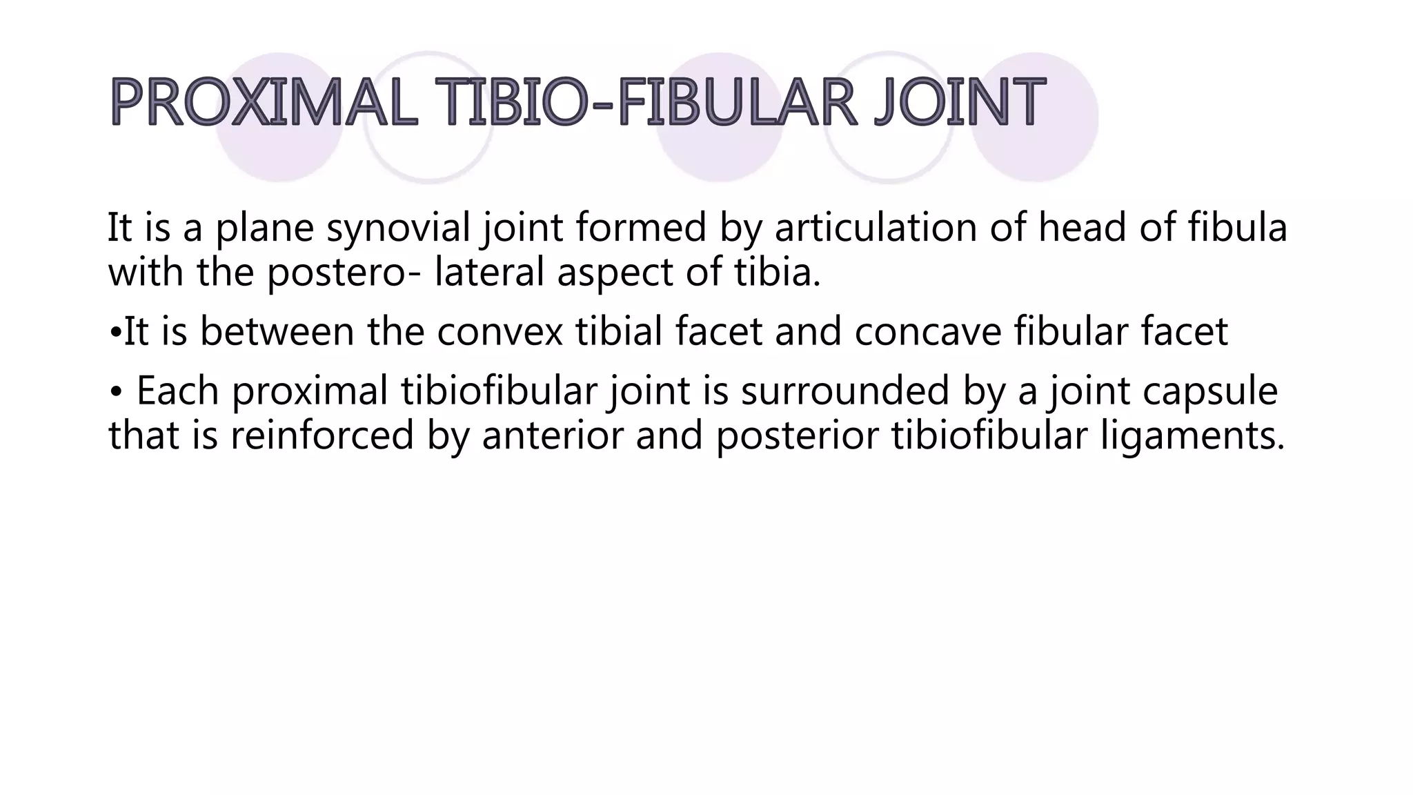 Ankle and foot complex | PPTX