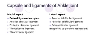 Ankle and foot complex | PPTX