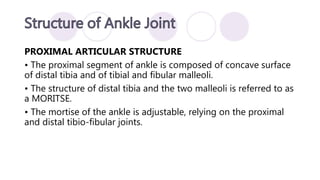 Ankle and foot complex | PPTX