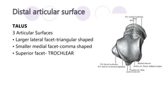 Ankle and foot complex | PPTX