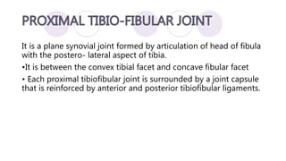 Ankle and foot complex | PPTX
