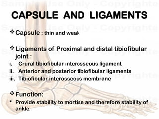 Ankle and Foot Complex biomechanics and its pathology | PPTX