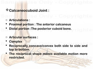 Ankle and Foot Complex biomechanics and its pathology | PPTX