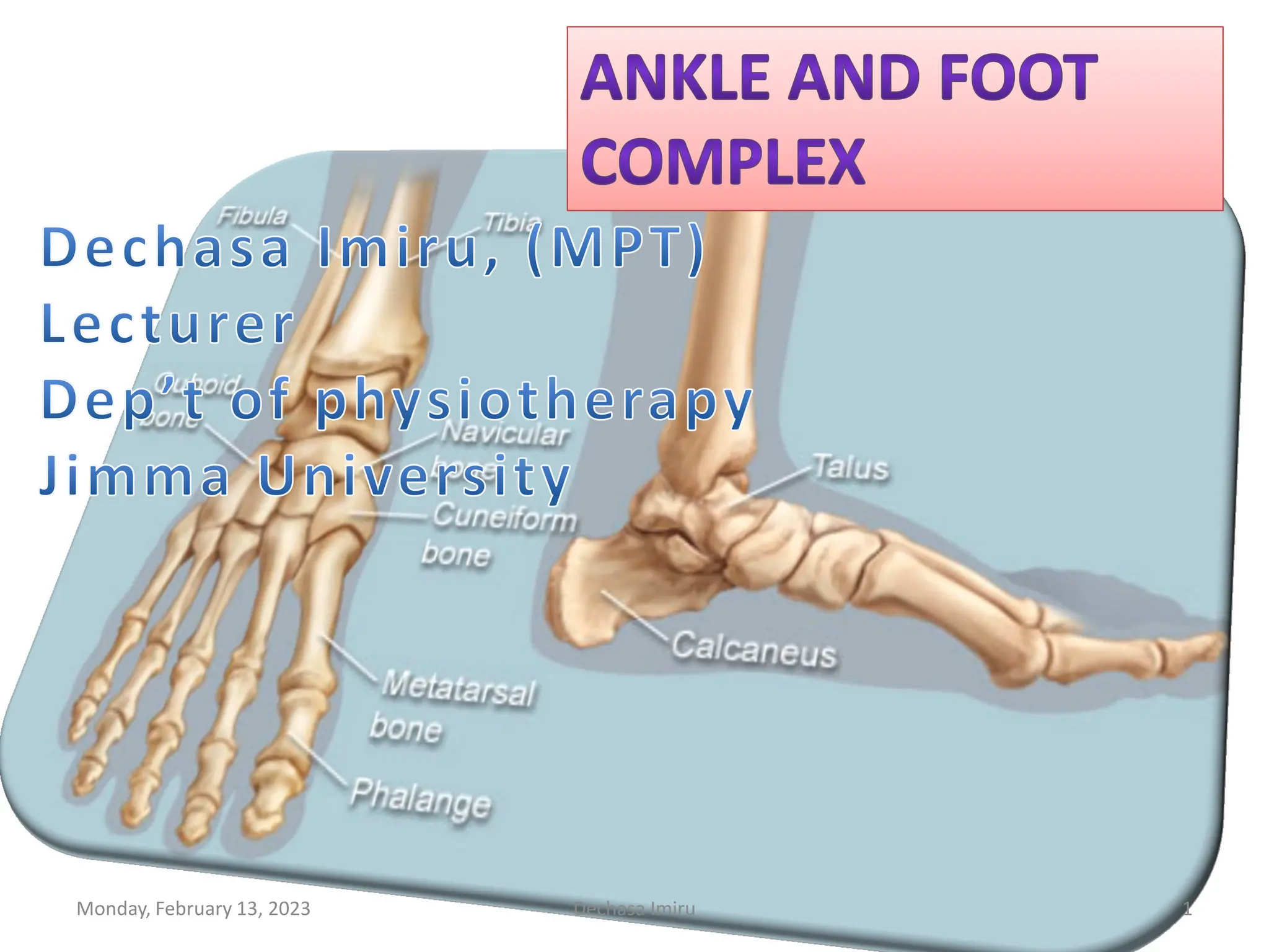 Ankle and Foot complex for 2nd yr PT.pdf