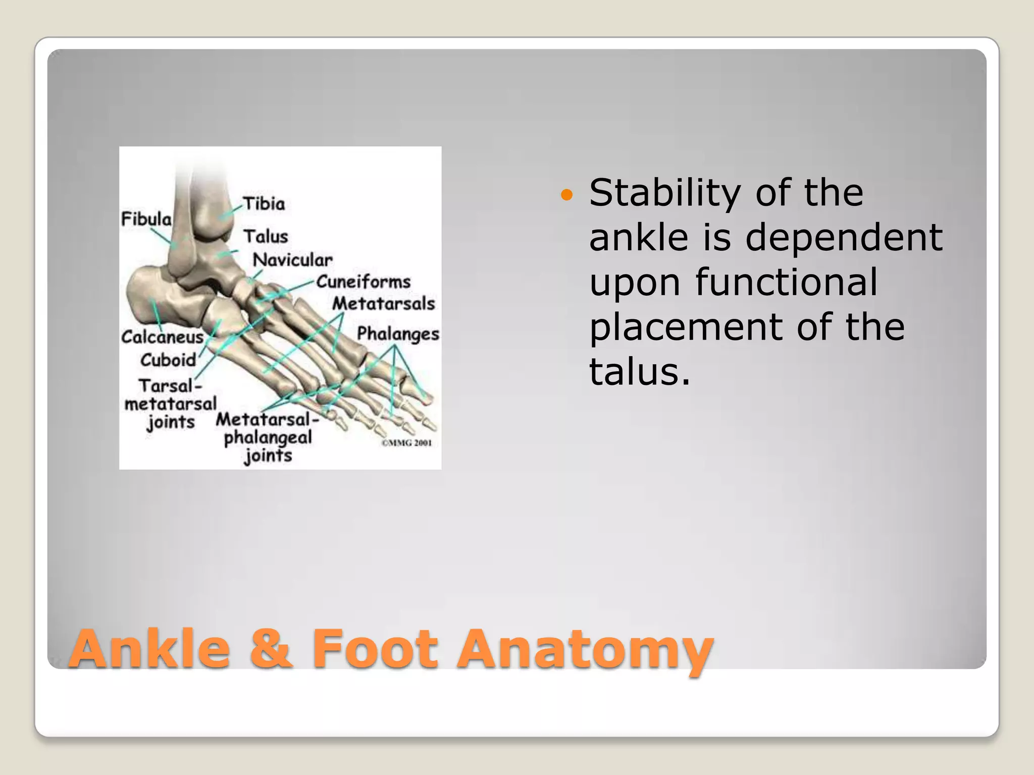 Ankle and foot exam gsp | PPTX