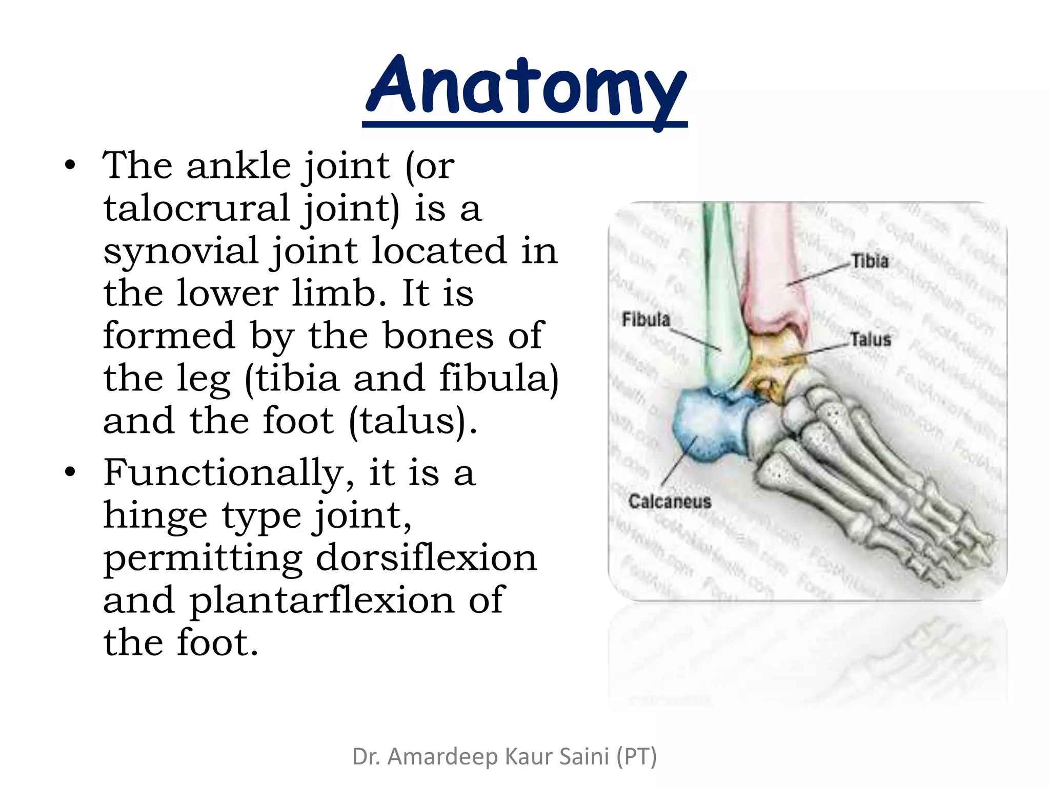 Ankle and foot injuries | PPTX