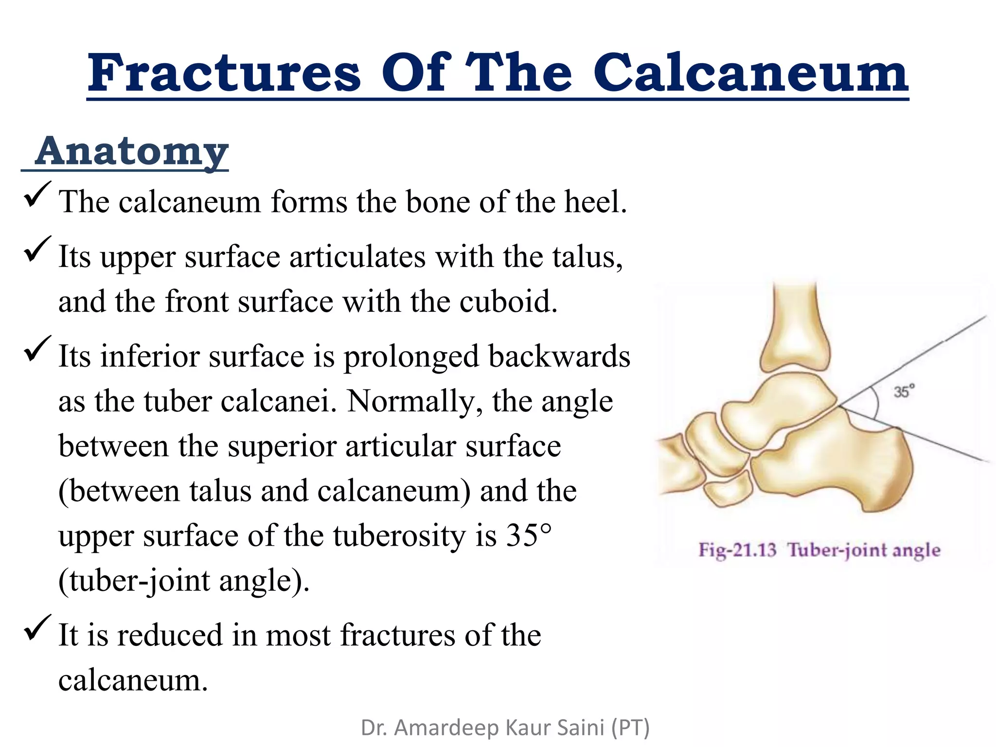 Ankle and foot injuries | PPTX