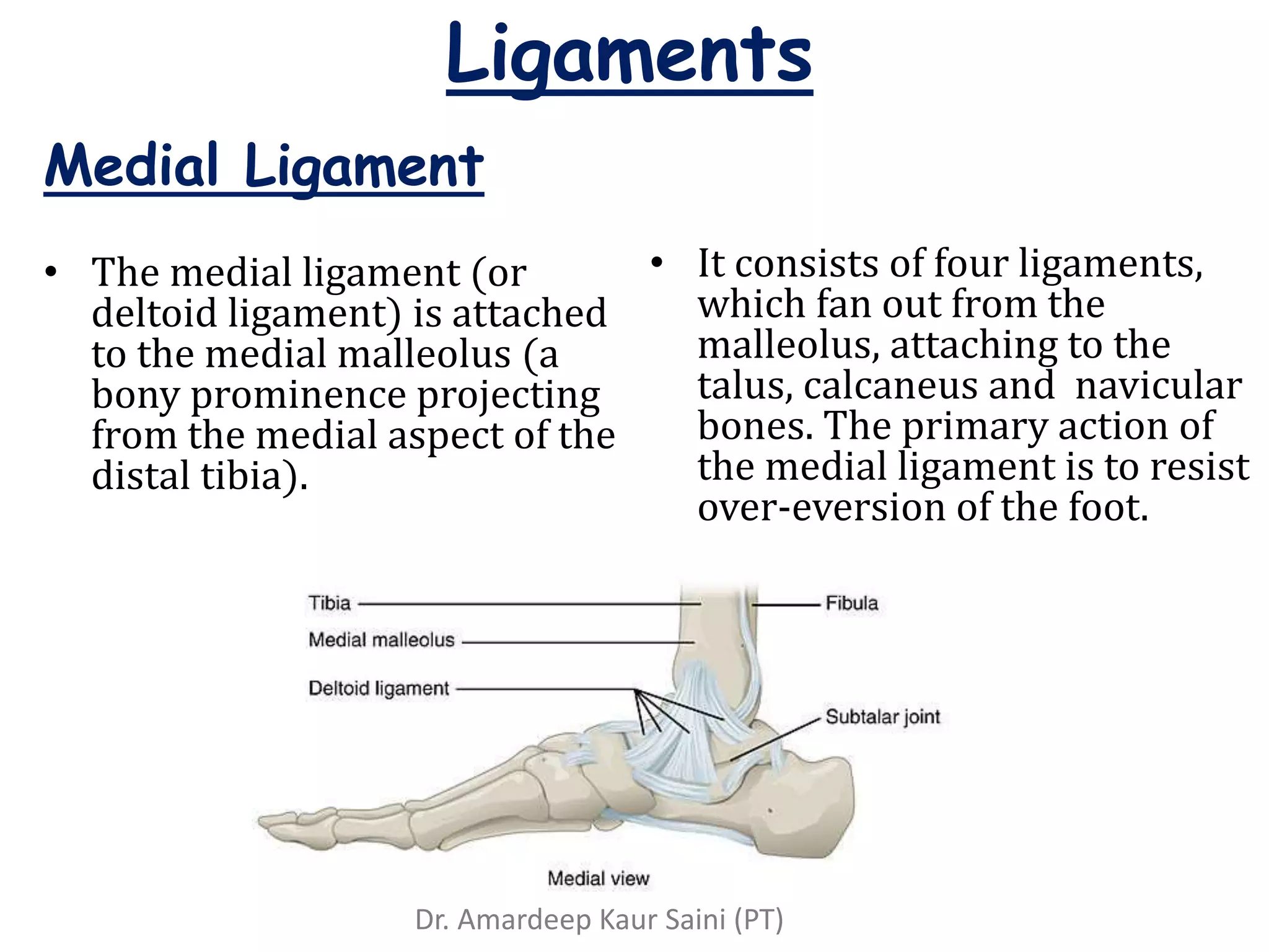 Ankle and foot injuries | PPTX
