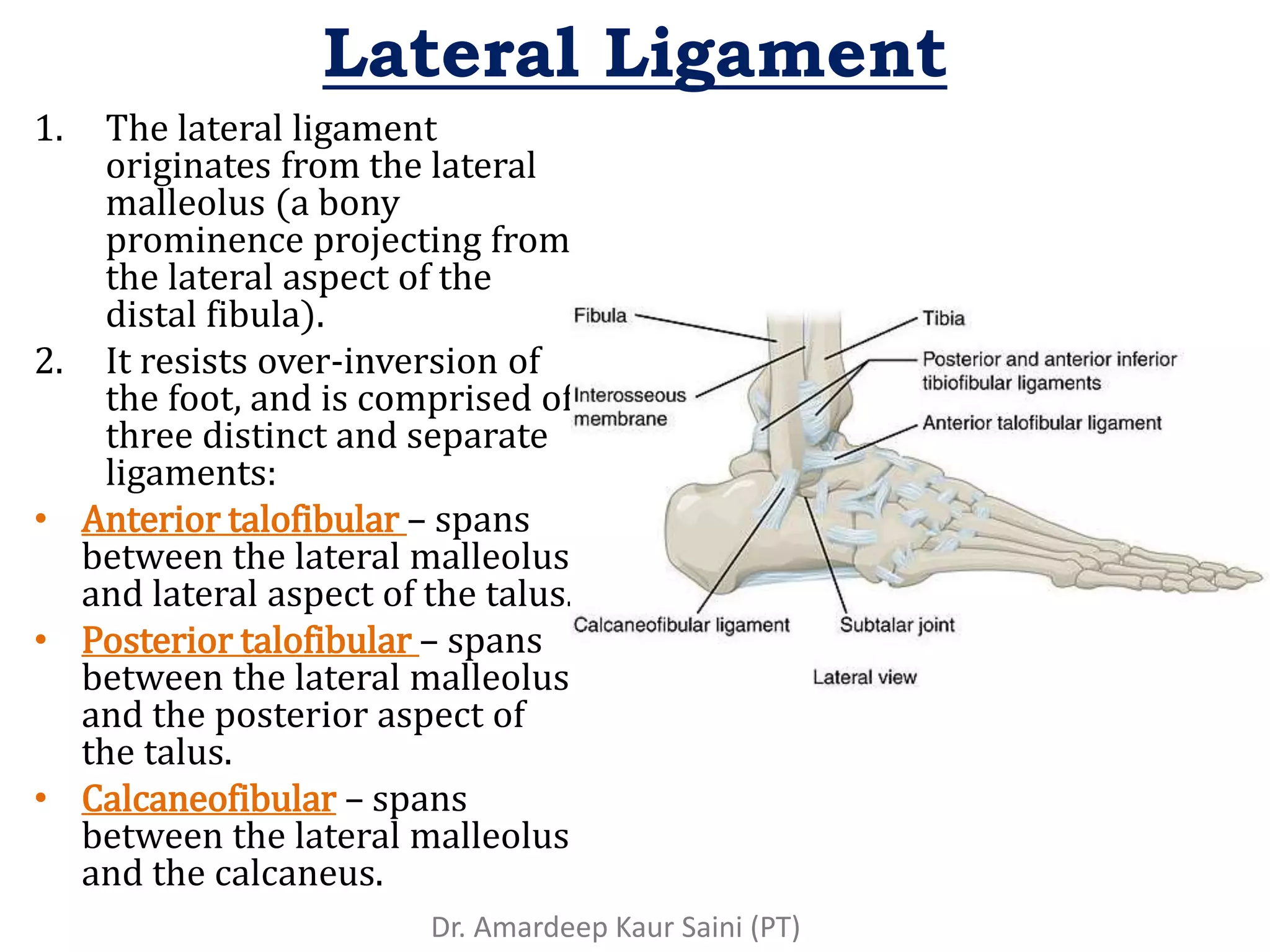 Ankle and foot injuries | PPTX