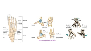ANKLE AND FOOT INJURIES // Treatment .pptx