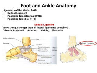 Ankle and foot pain | PPTX