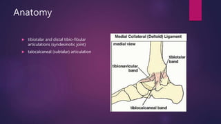 Ankle and Foot | PPTX