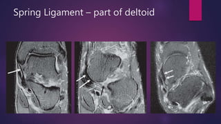 Ankle and Foot | PPTX