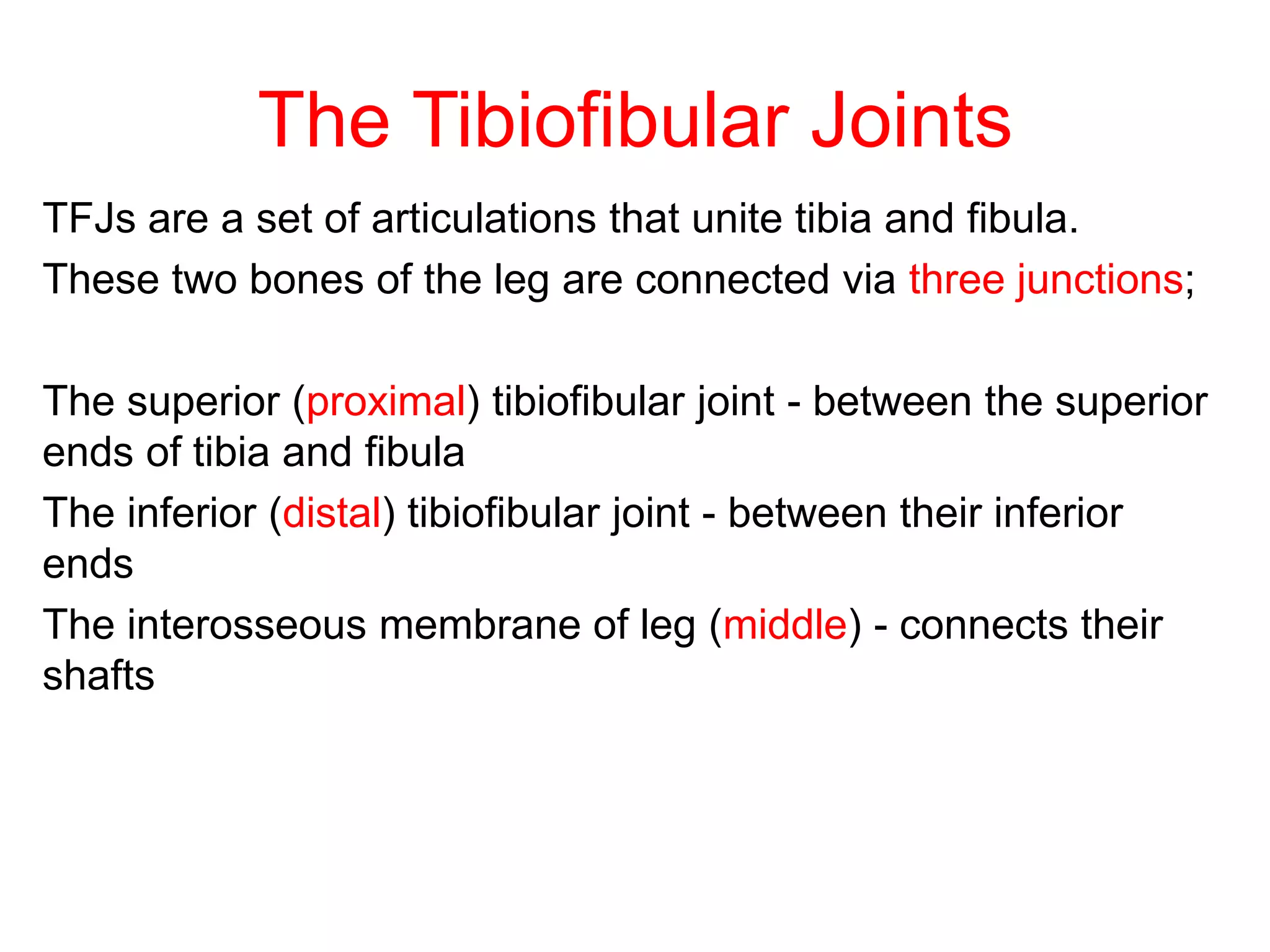 Ankle and Tibiofibular Joint.pptx