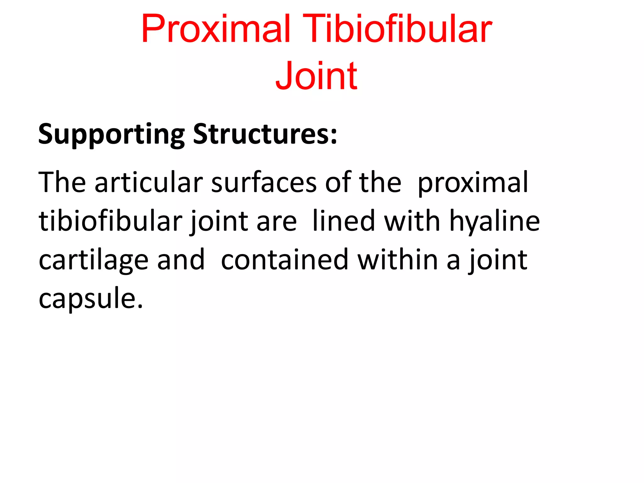 Ankle and Tibiofibular Joint.pptx