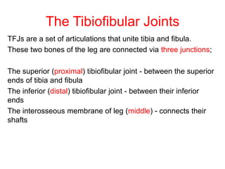 Ankle and Tibiofibular Joint.pptx