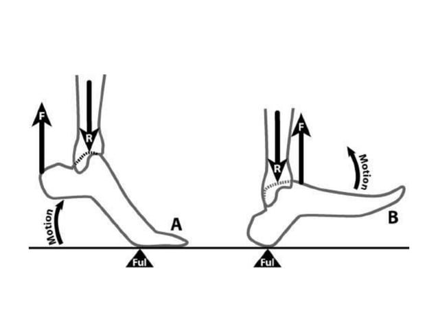 Ankle and Tibiofibular Joint.pptx