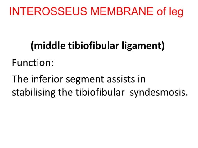 Ankle and Tibiofibular Joint.pptx