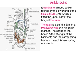 Ankle and Tibiofibular Joint.pptx