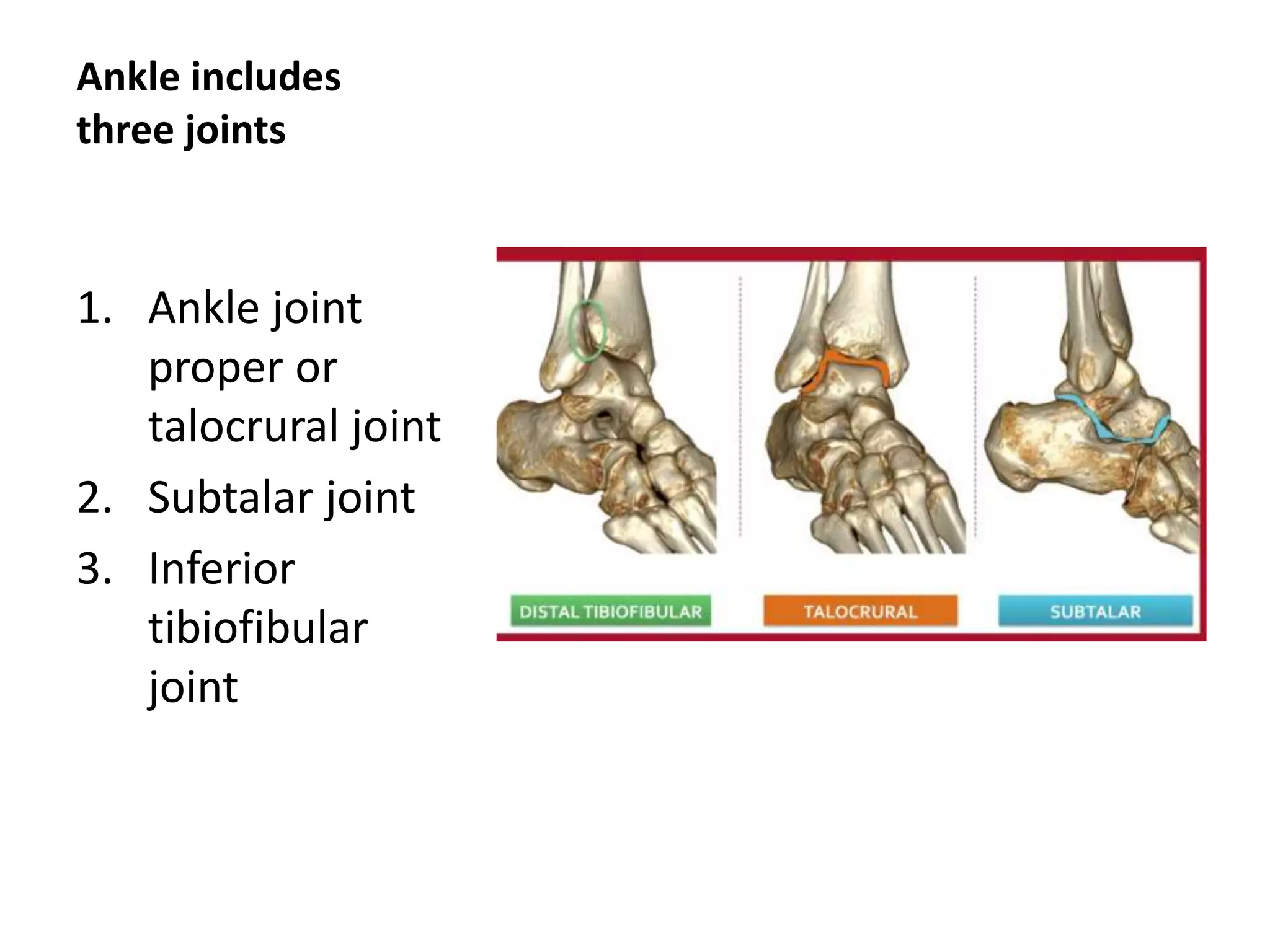 Ankle arthrodesis | PPTX