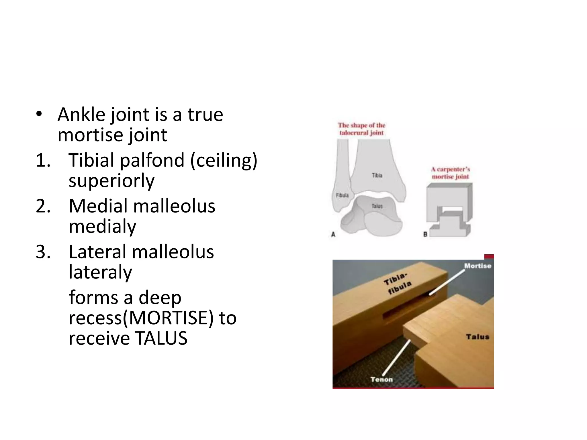 Ankle arthrodesis | PPTX