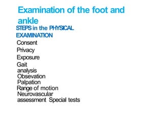 Comprehensive Ankle Joint Assessment: Anatomy, Examination, and Special ...