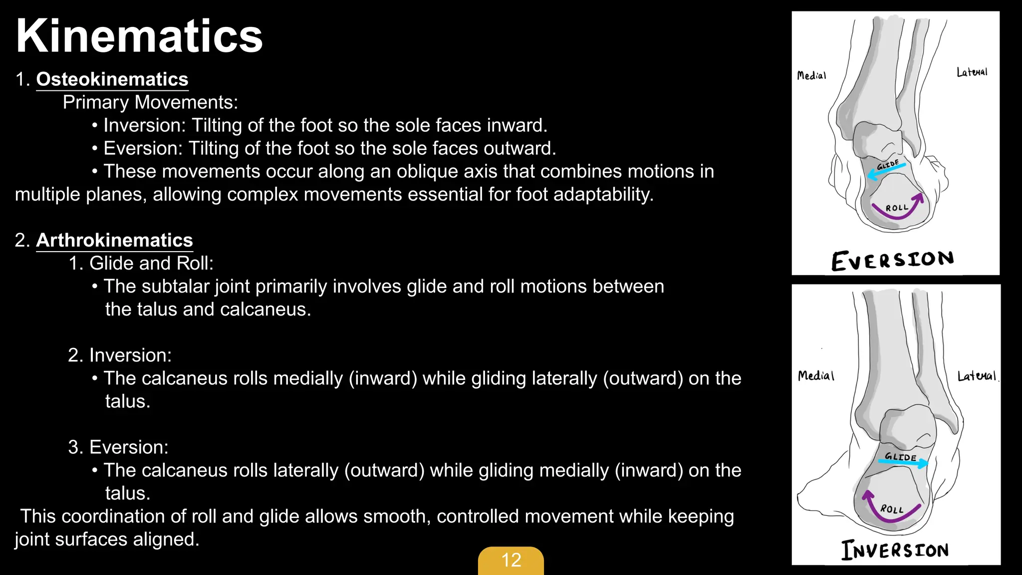 Brief Ankle anatomy and Biomechanics.pdf