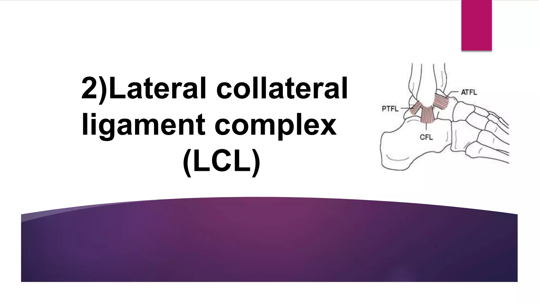 Ligaments of ankle joint (Ankle complex) | PPTX