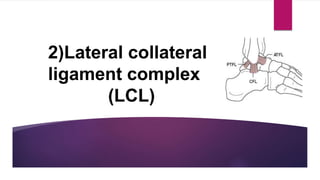 Ligaments of ankle joint (Ankle complex) | PPTX