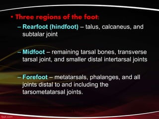 Ankle & foot Complex.session 1 | PPT