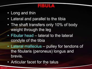 Ankle & foot Complex.session 1 | PPT
