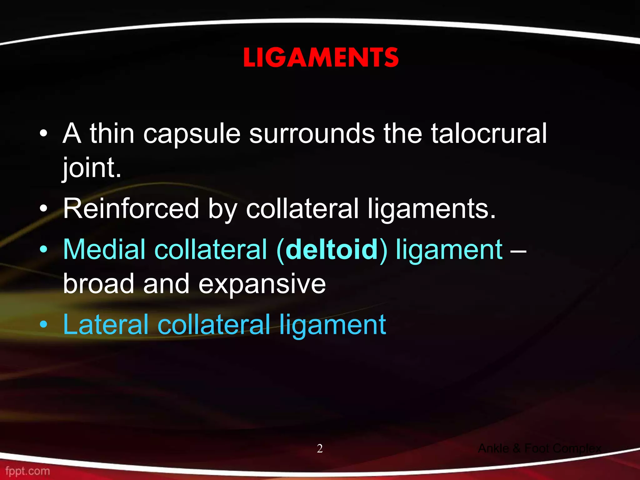 Ankle & foot Complex.session.2 | PPT