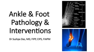 Ankle and Foot Pathology & Interventions: Clinical Features, Diagnosis ...