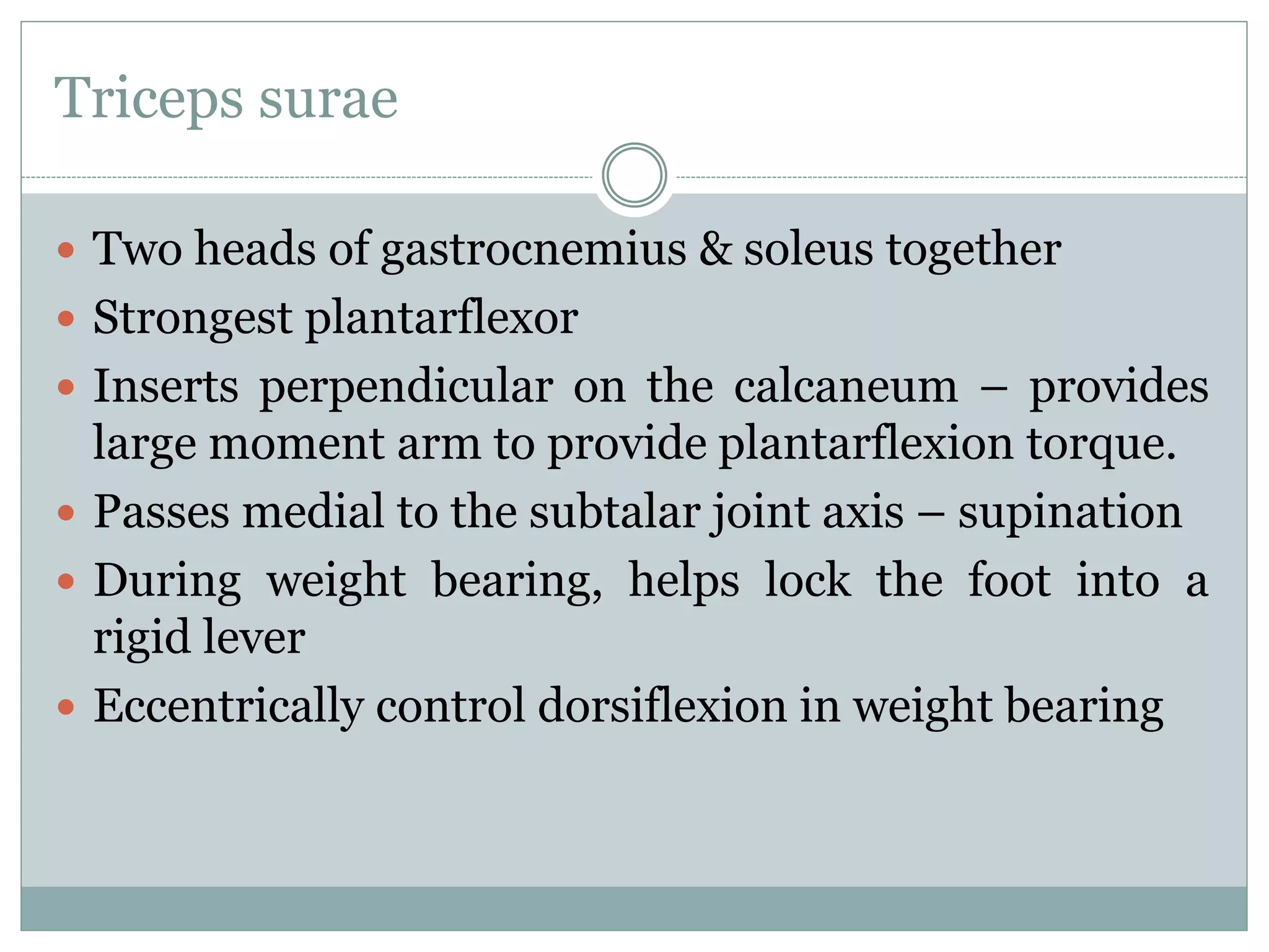 Ankle & foot biomechanics | PPTX