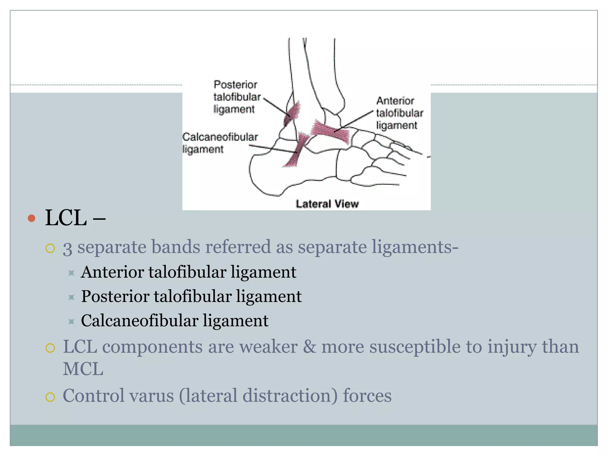 Ankle & foot biomechanics | PPTX