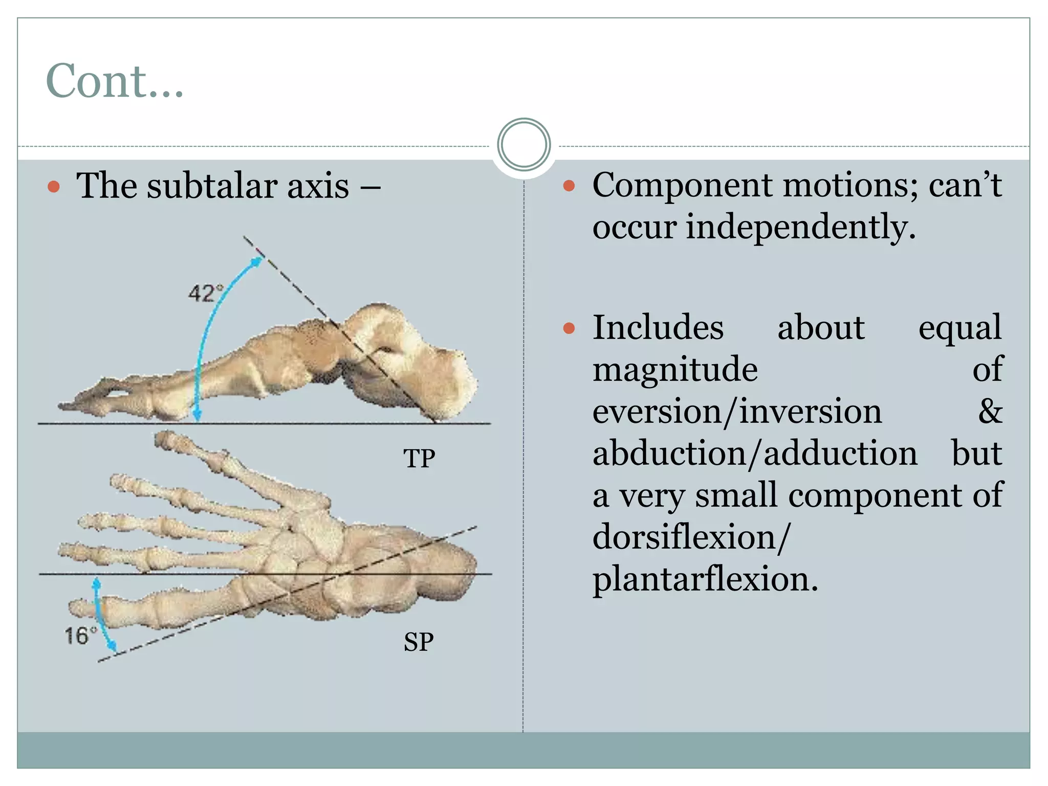 Ankle & foot biomechanics | PPTX