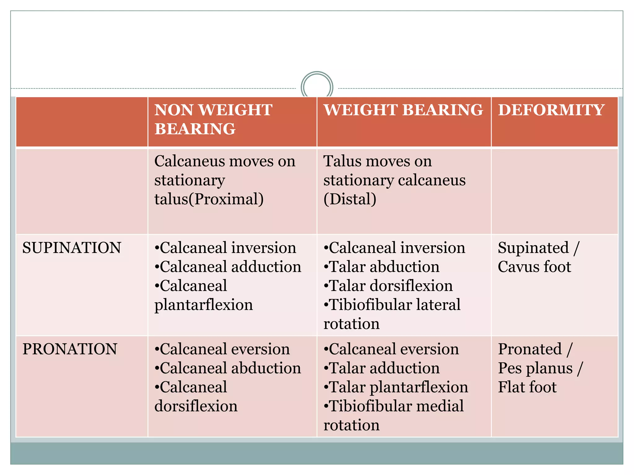 Ankle & foot biomechanics | PPTX