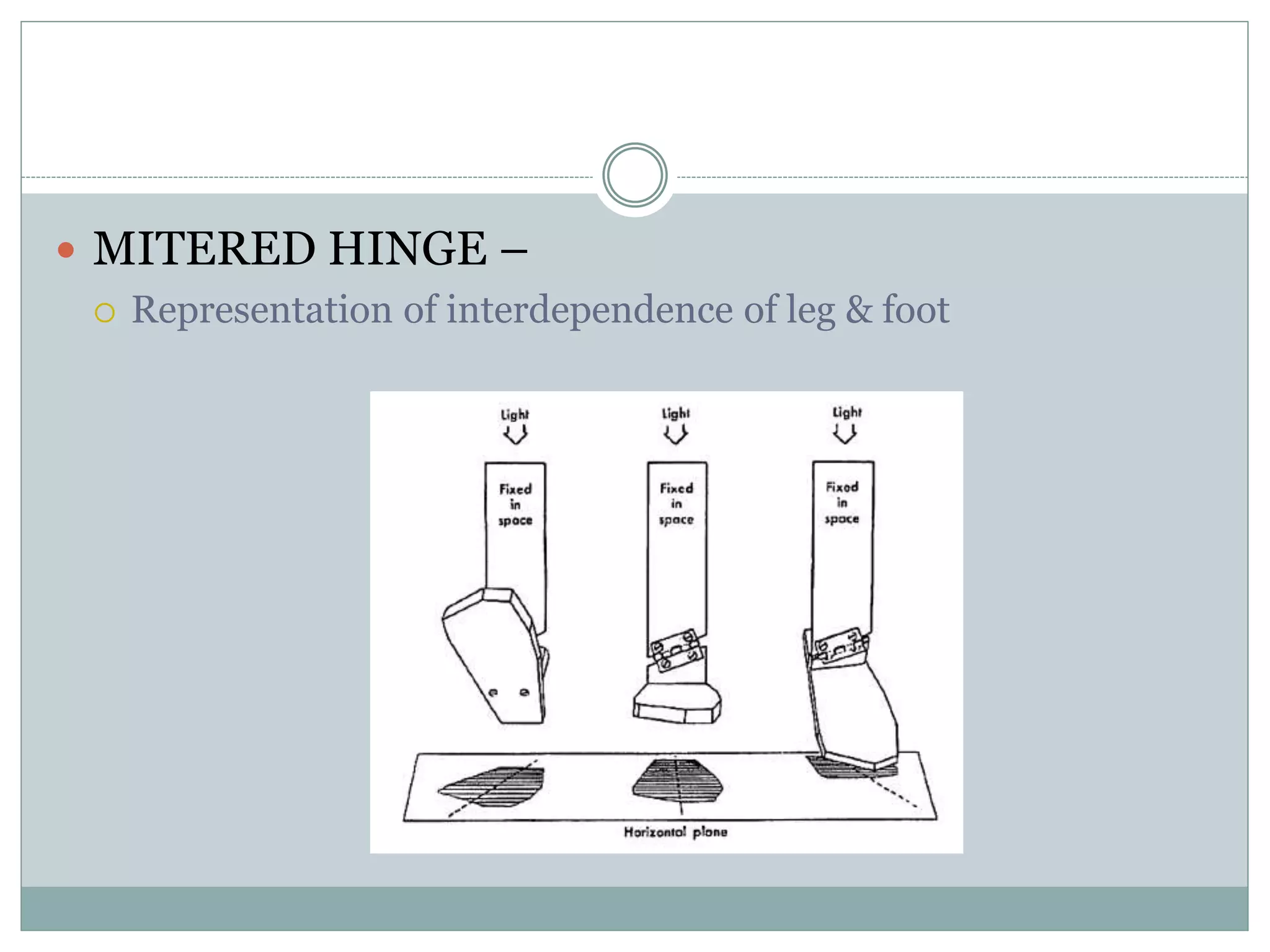Ankle & foot biomechanics | PPTX