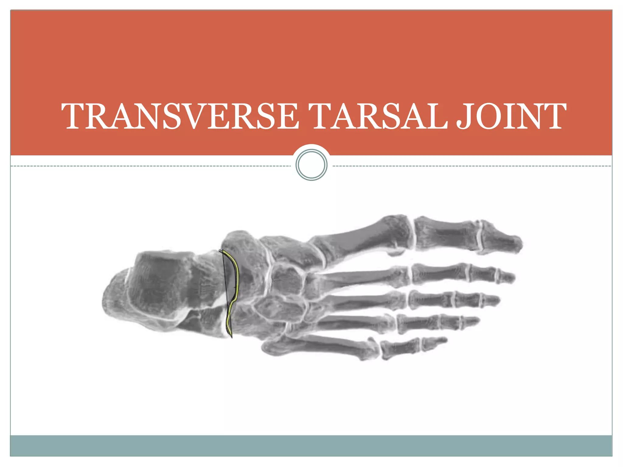 Ankle & foot biomechanics | PPTX